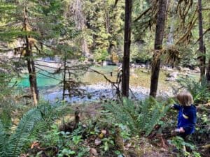 OUR GUIDE TO HIKING THE STAIRCASE RAPIDS LOOP (Olympic National Park ...