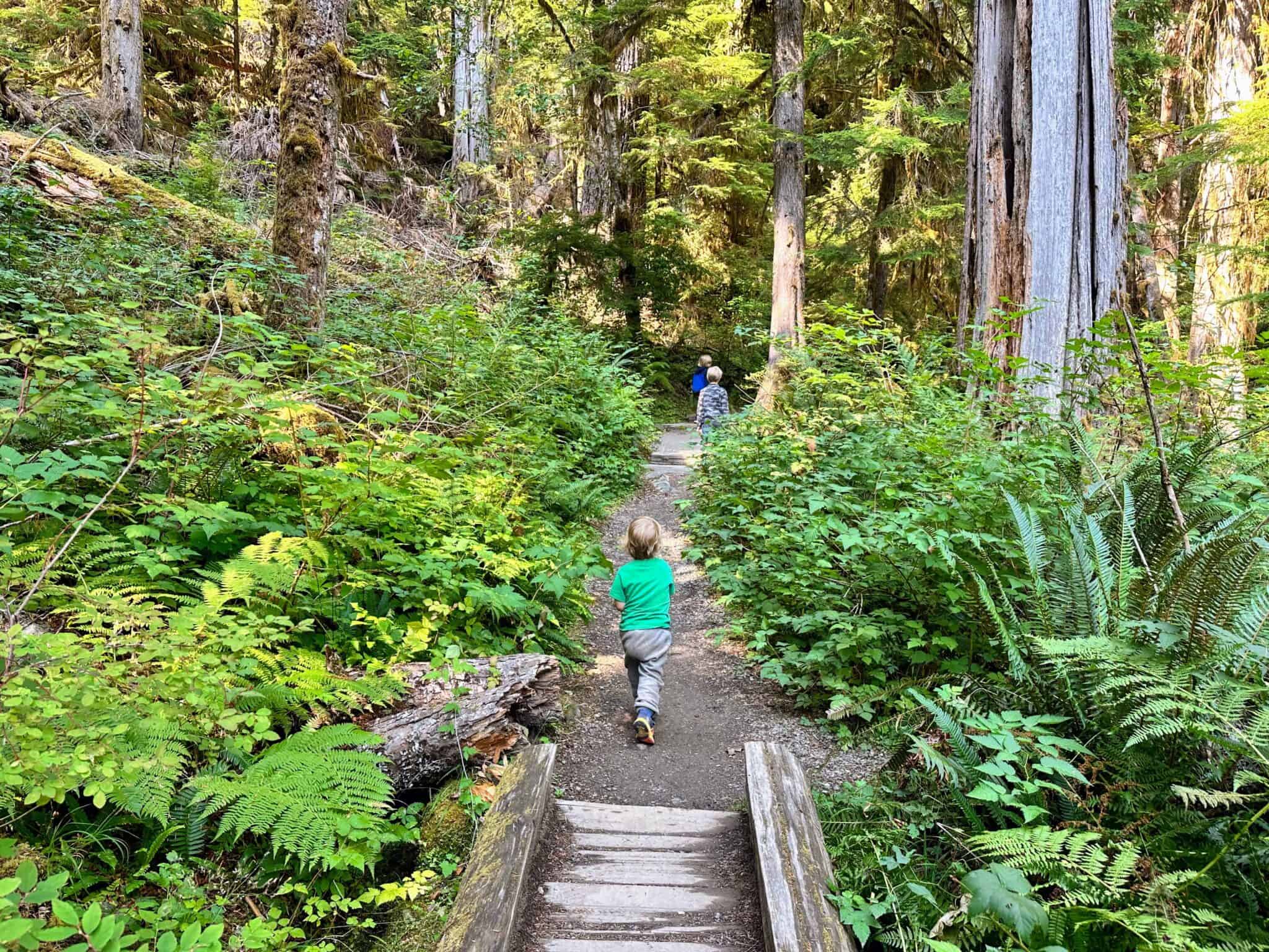OUR GUIDE TO HIKING THE STAIRCASE RAPIDS LOOP (Olympic National Park ...