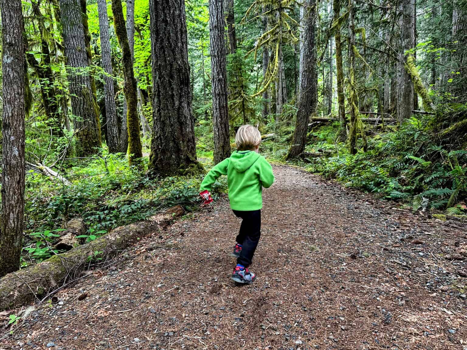 OUR GUIDE TO HIKING THE STAIRCASE RAPIDS LOOP (Olympic National Park ...