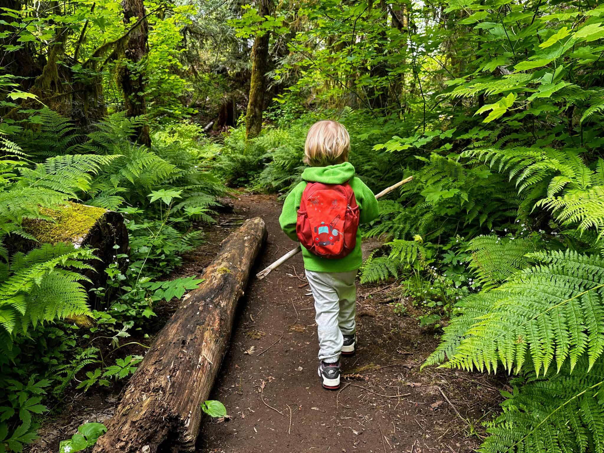 OUR GUIDE TO HIKING THE STAIRCASE RAPIDS LOOP (Olympic National Park ...