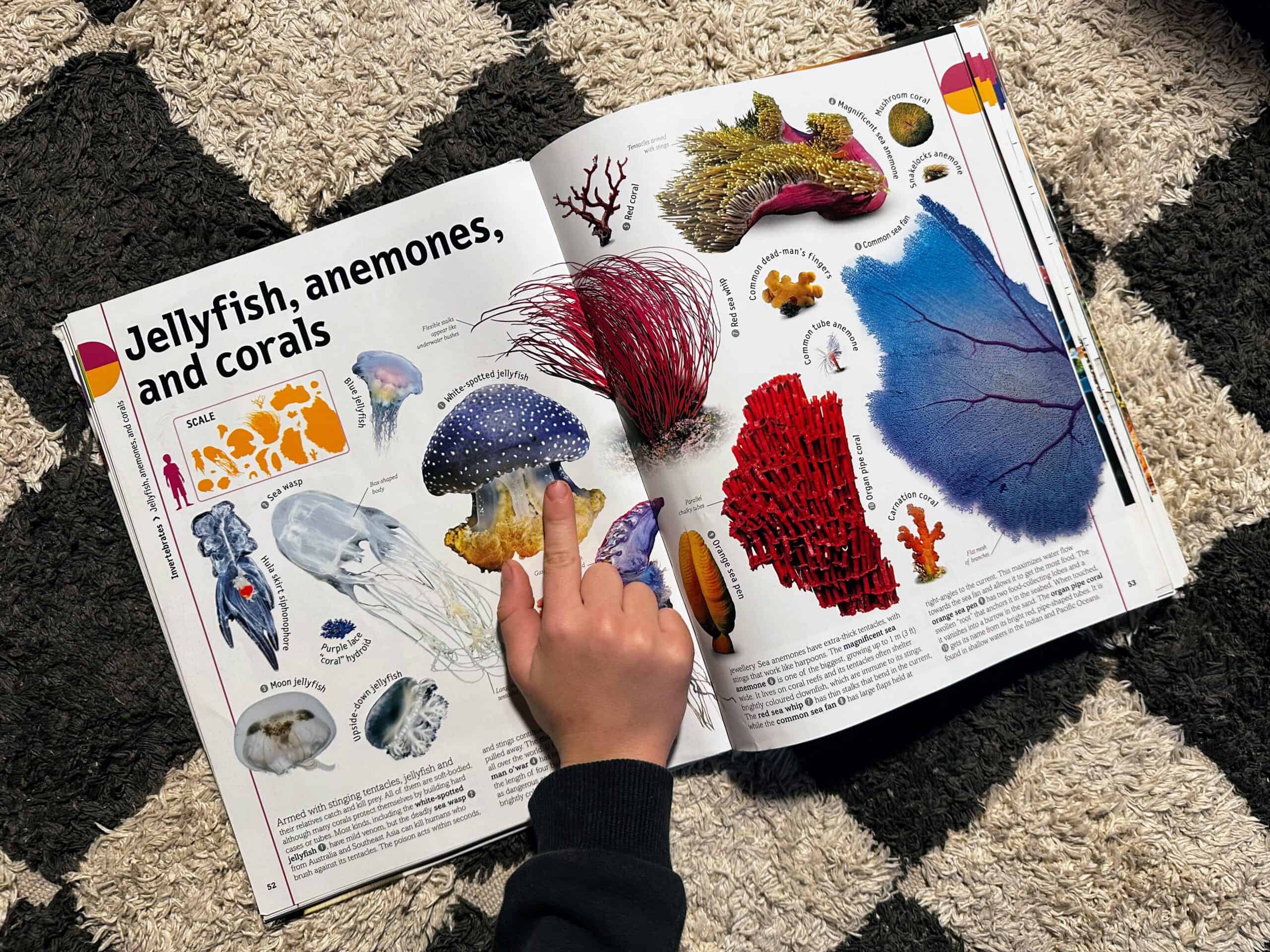 MALDIVES BOOKS FOR KIDS - Our Family's Recommendations - Go See Learn